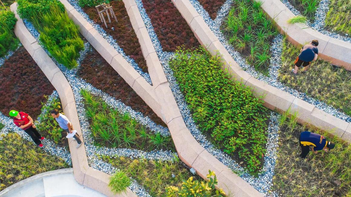 Create Resilient Landscapes and Explore More Possibilities for Urban ...
