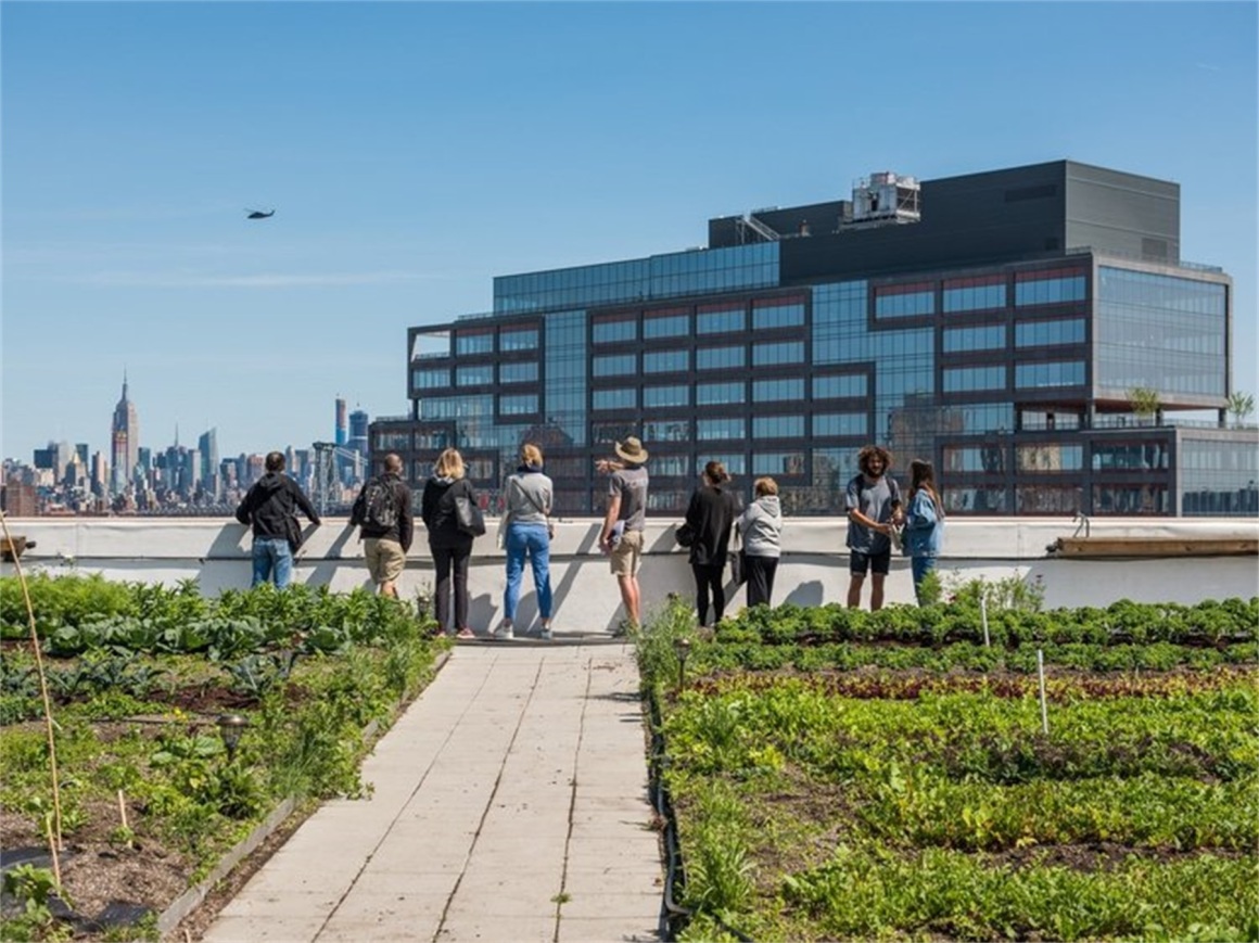 Create Resilient Landscapes and Explore More Possibilities for Urban ...