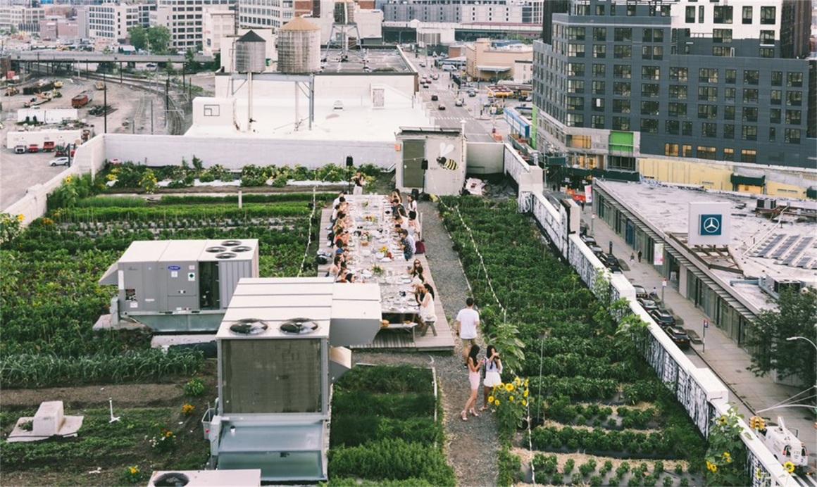 Create Resilient Landscapes and Explore More Possibilities for Urban ...