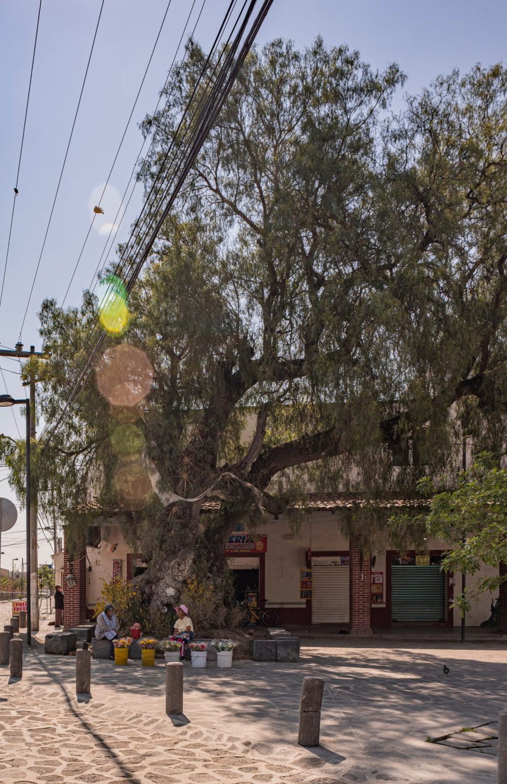 圣卢卡斯Xolox历史中心更新 / Taller Capital – mooool木藕设计网