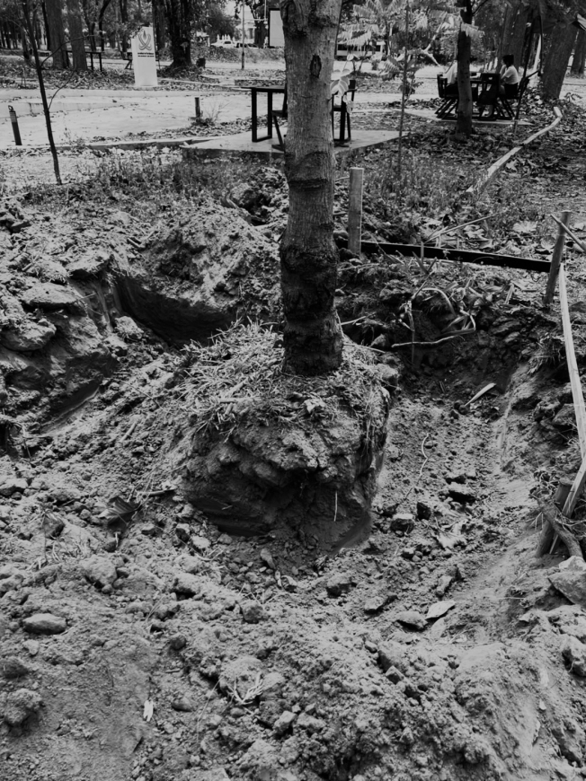 Grid Lines Boundary by SIM Studio – mooool