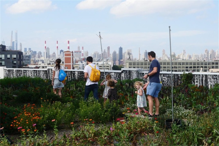 Create Resilient Landscapes and Explore More Possibilities for Urban ...