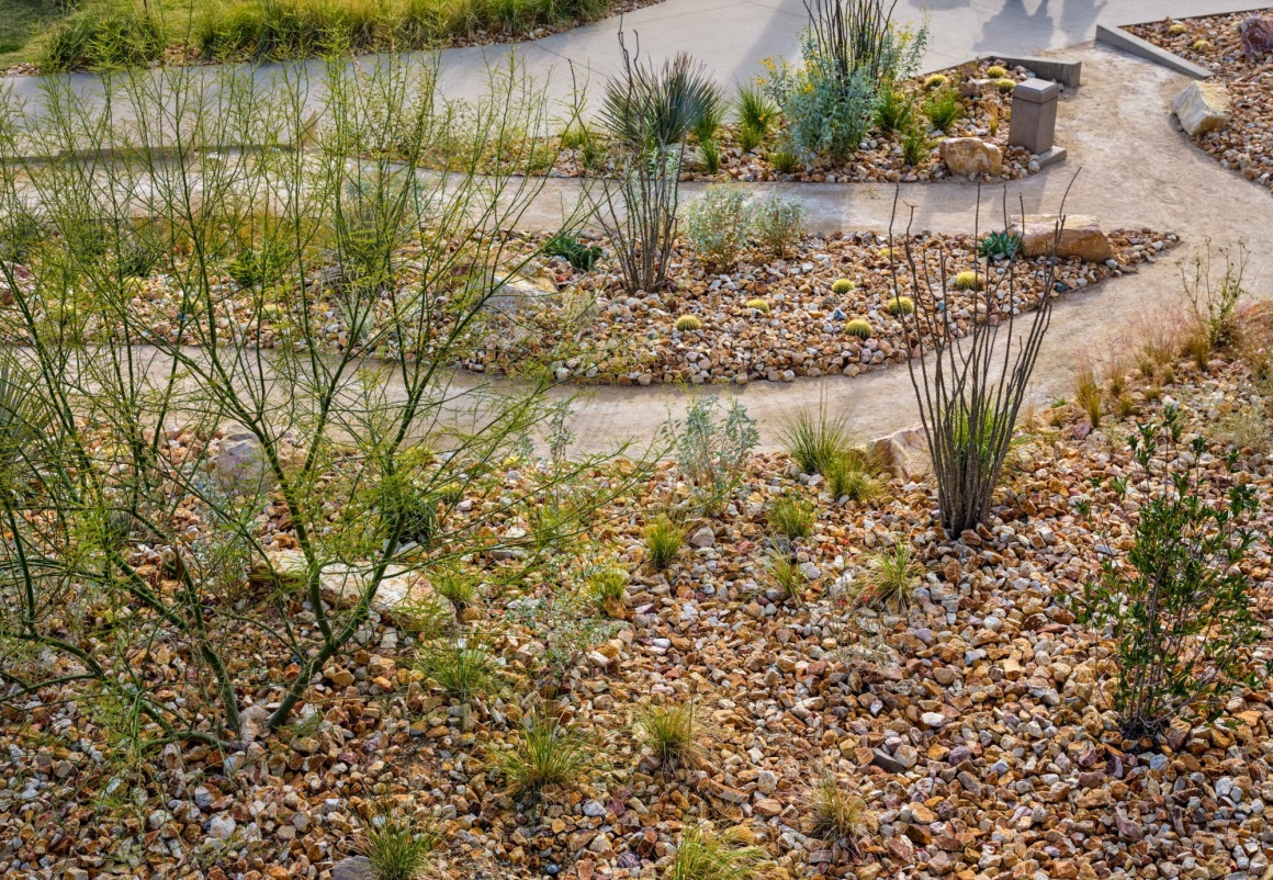 棕榈泉市中心公园：2022 ASLA 综合设计类卓越奖 / RIOS – mooool木藕设计网