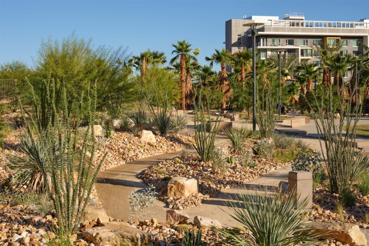 棕榈泉市中心公园：2022 ASLA 综合设计类卓越奖 / RIOS – mooool木藕设计网