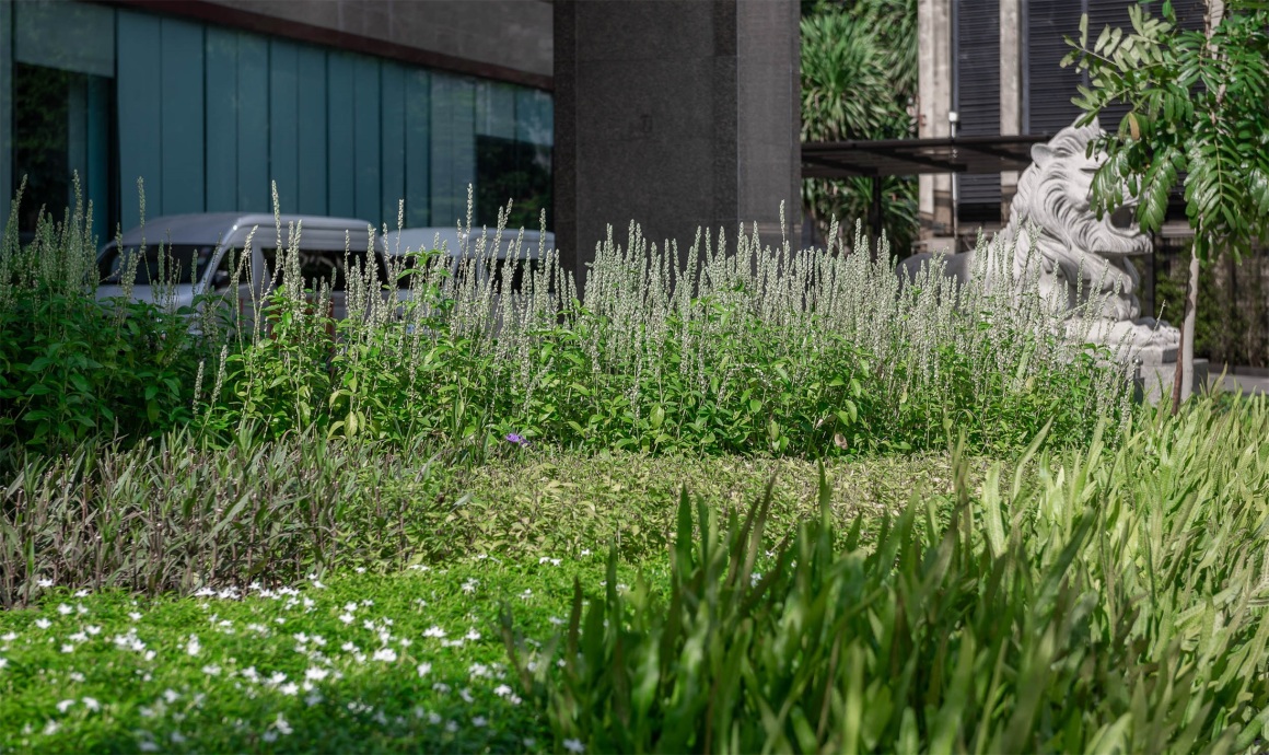 “Gardens of metaphors”，Thai CC Tower Park by Studio NDT – mooool