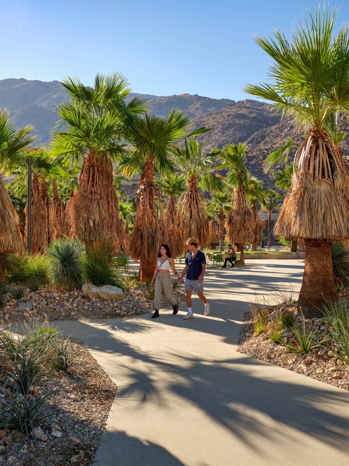 Palm Springs Downtown Park By RIOS – mooool