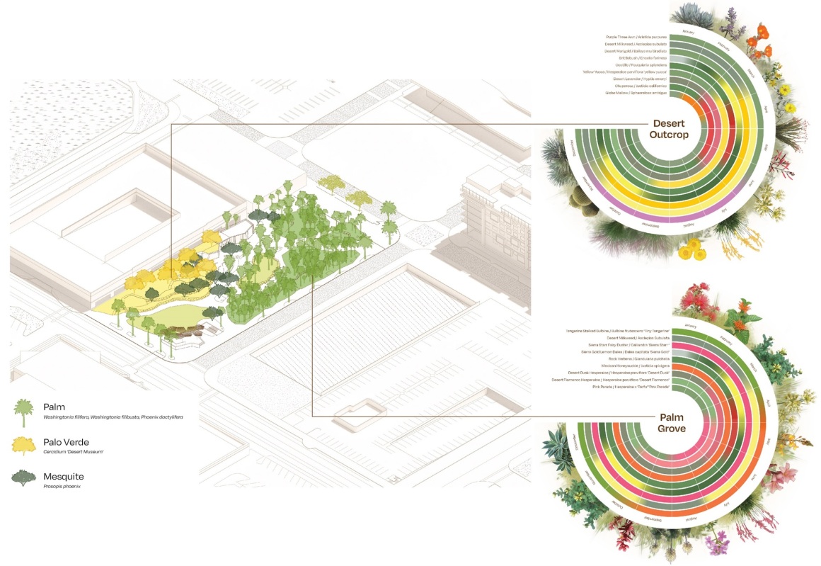 棕榈泉市中心公园：2022 ASLA 综合设计类卓越奖 / RIOS – mooool木藕设计网
