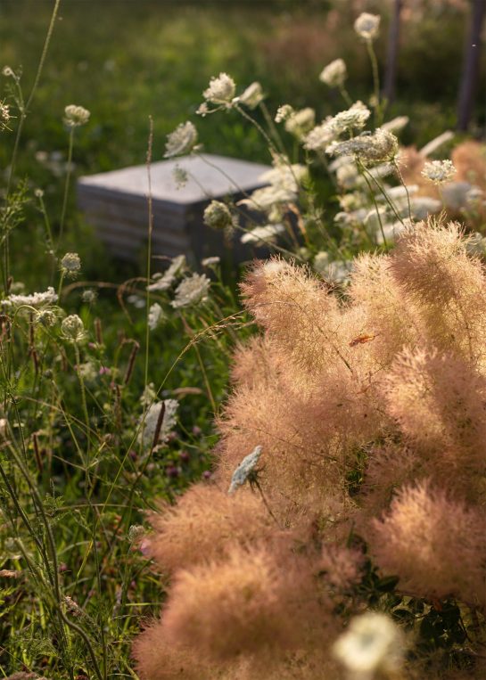 Mr Barrett’s Garden by BUREAU – mooool