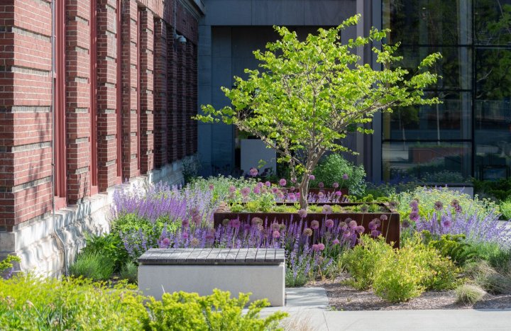 Urban Streetscape Design for Interesting Public Spaces – mooool