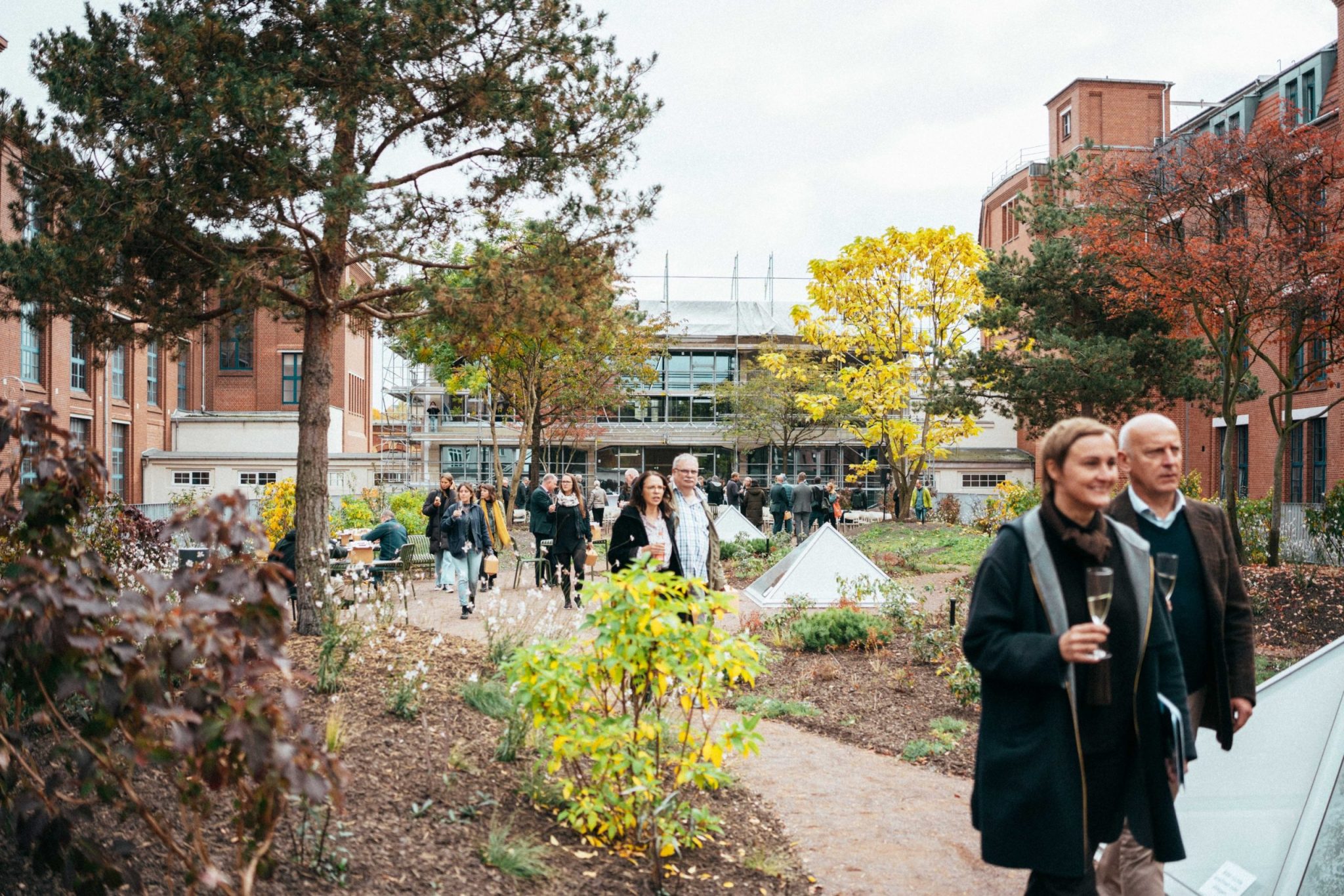 用树木重构建筑，工厂上的屋顶花园 / MEYER-GROHBRUEGGE – mooool木藕设计网