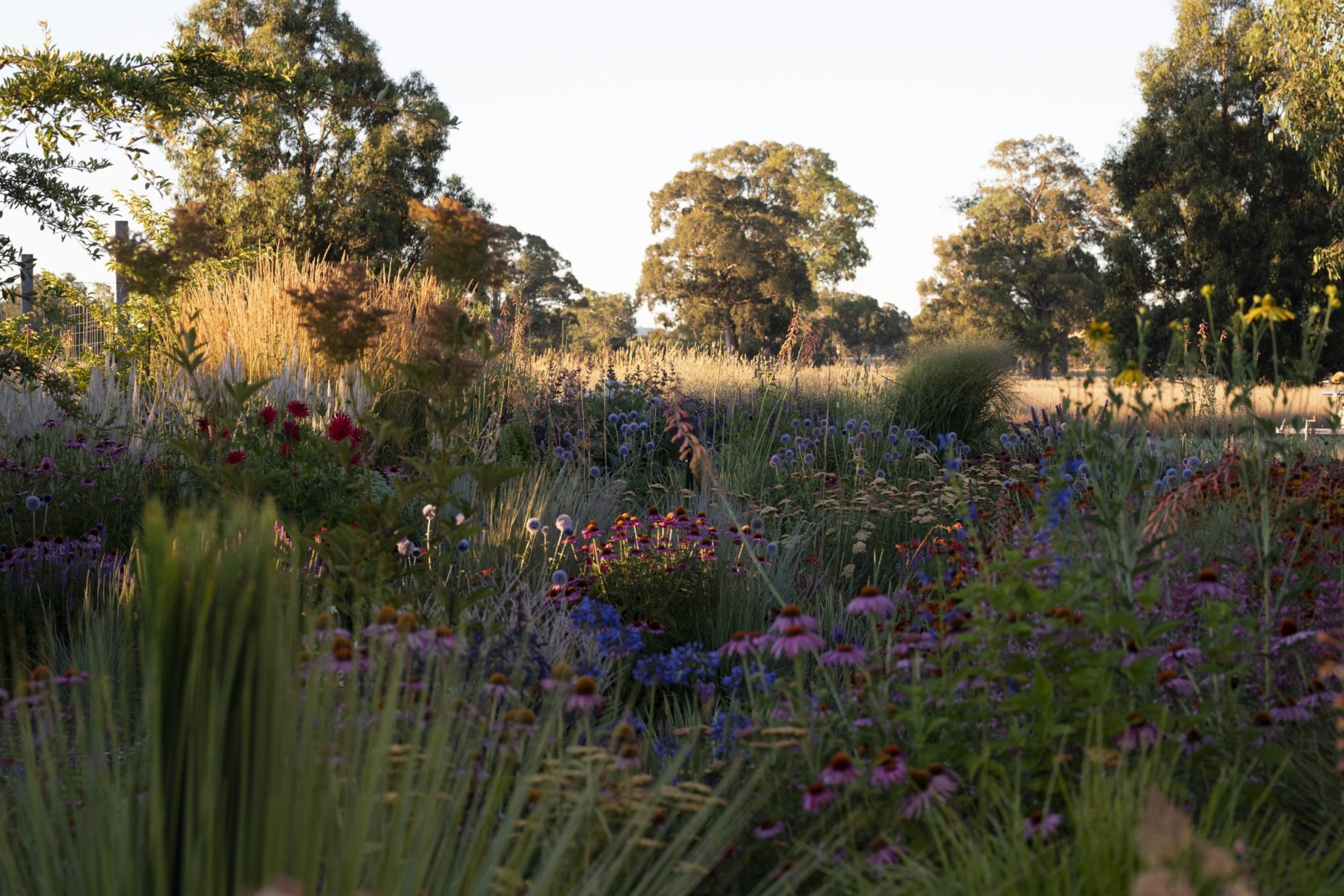 The Barwite Garden by Ralph Bristow – mooool