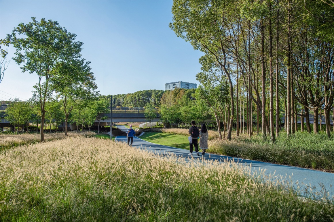 昆山庙泾河 – 诗意的共享生态水廊 / PLAT Studio – mooool木藕设计网