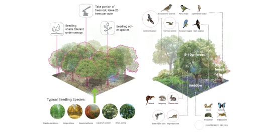Miaojing River By PLAT Studio – mooool