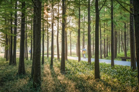 Miaojing River By PLAT Studio – mooool