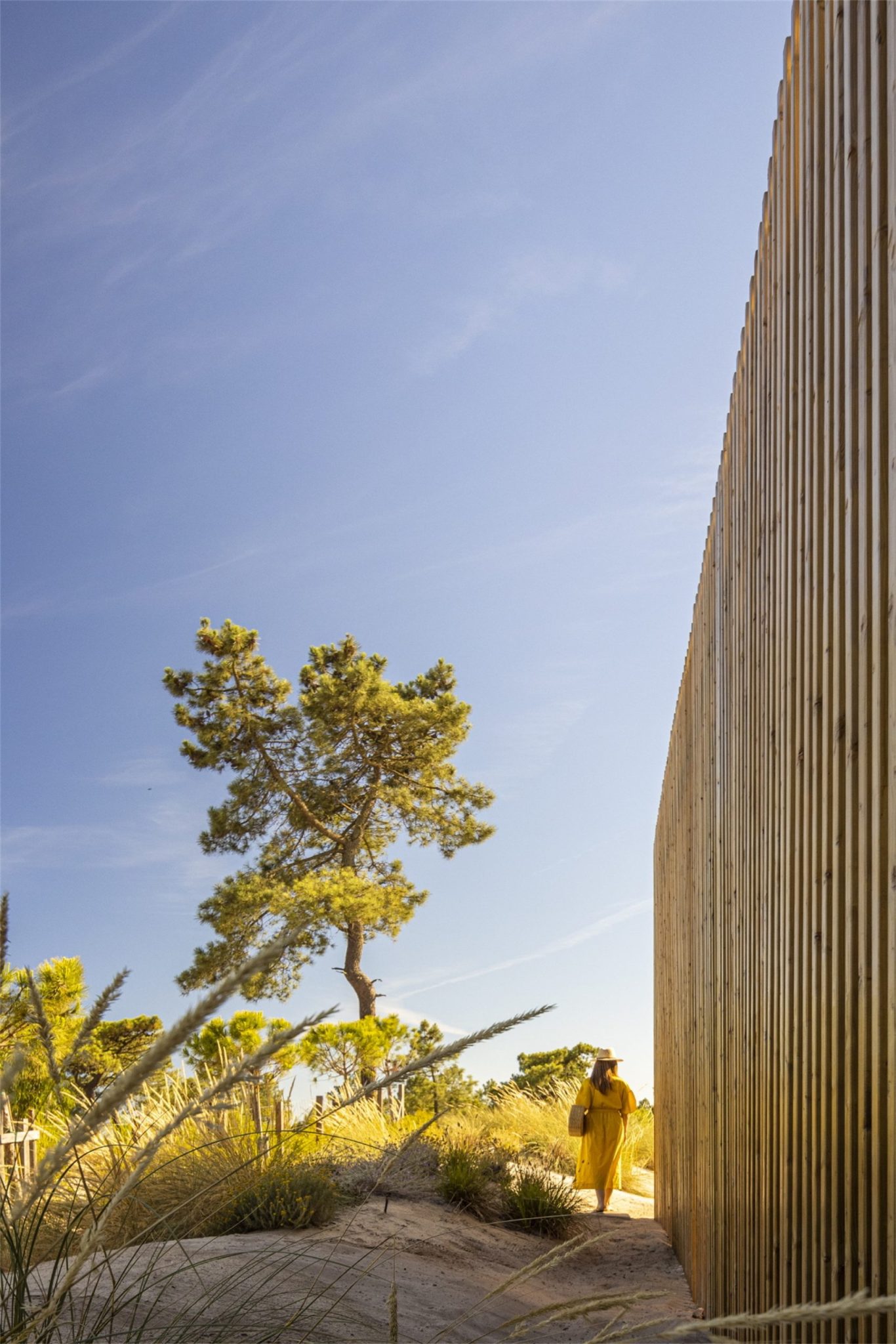 Palisade House–House in Tróia by BICA Arquitectos – mooool