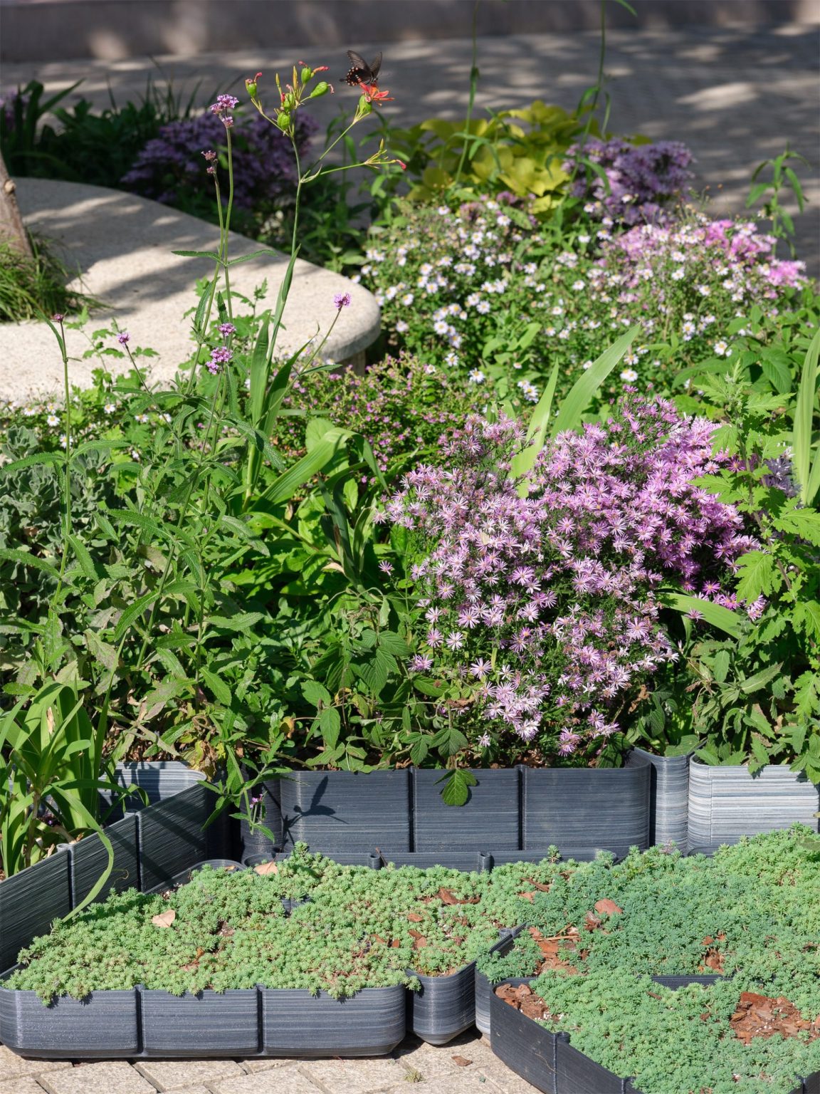 城市中的荒野与自然 | klee klee & friends店铺景观 / 或然景观 – mooool木藕设计网