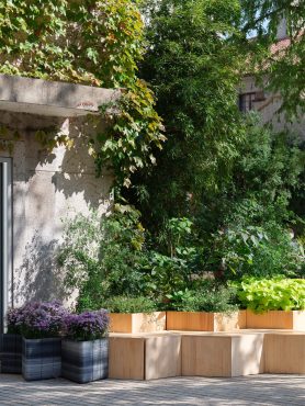 城市中的荒野与自然 | klee klee & friends店铺景观 / 或然景观 – mooool木藕设计网