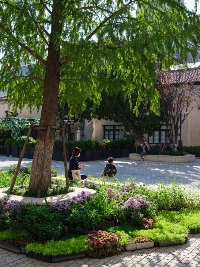 城市中的荒野与自然 | klee klee & friends店铺景观 / 或然景观 – mooool木藕设计网