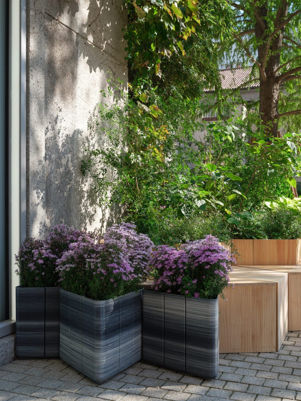 城市中的荒野与自然 | klee klee & friends店铺景观 / 或然景观 – mooool木藕设计网