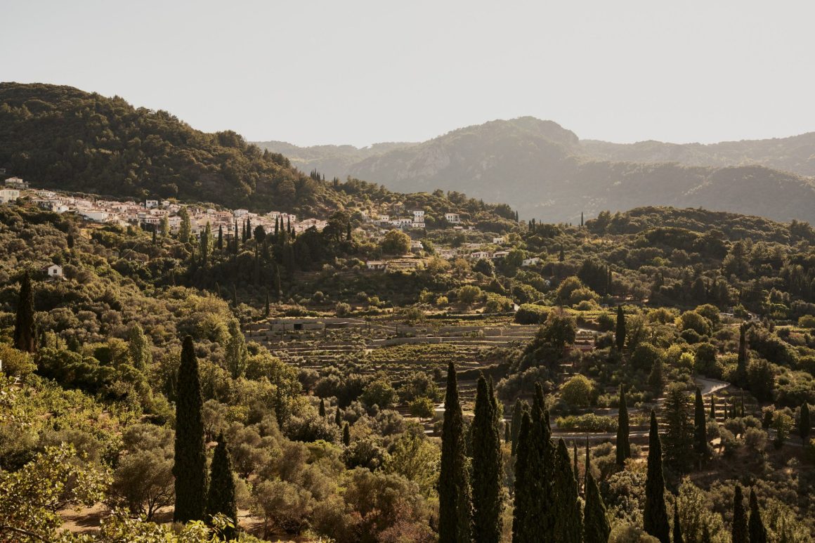 融于山谷，希腊LIKNON地下展览馆 / K-Studio – mooool木藕设计网