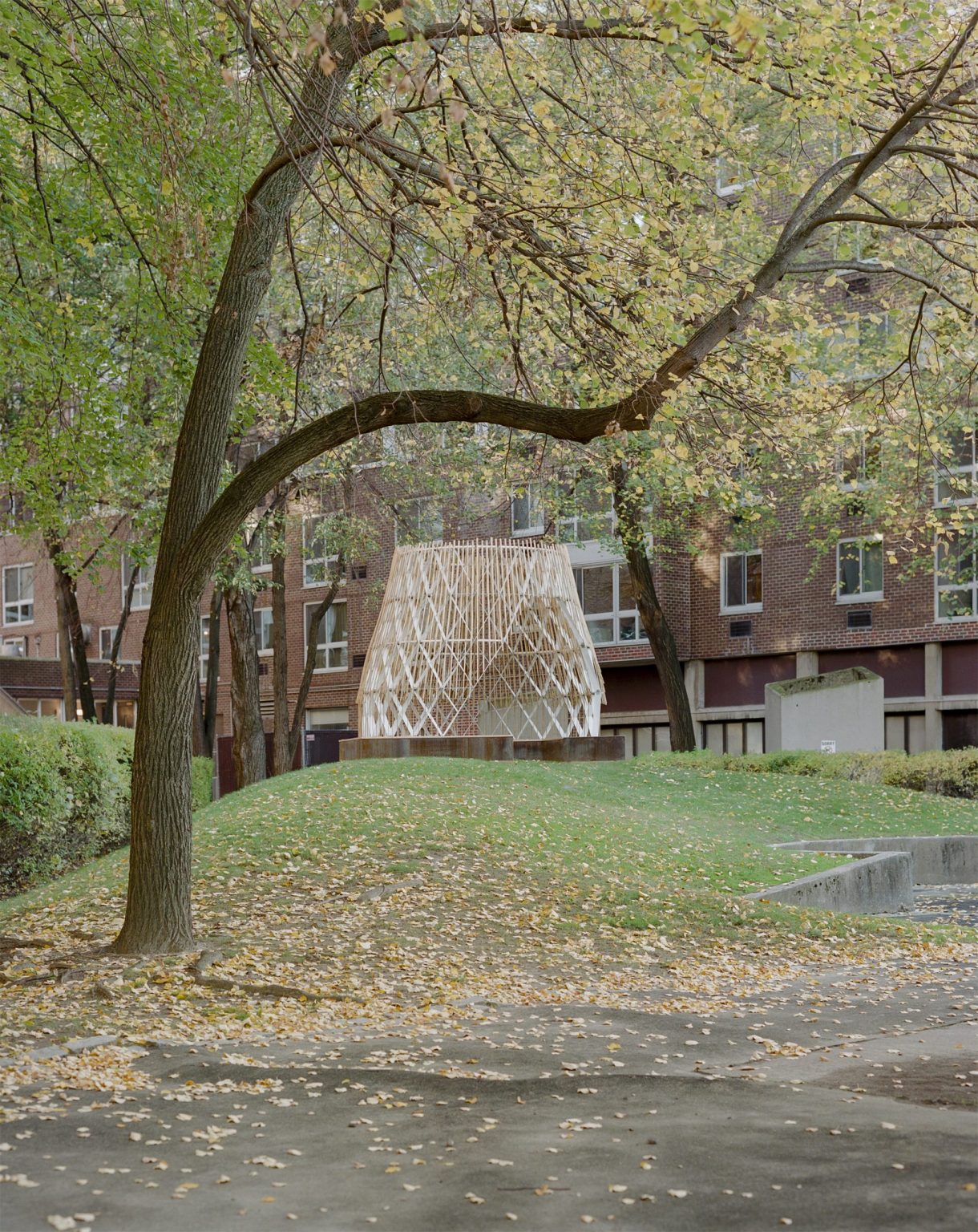 校园中的户外阅读室+感官室 / SAW. EARTH – mooool木藕设计网