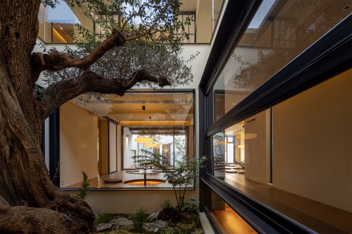 Tsubasa Jiaxing By GTD – mooool