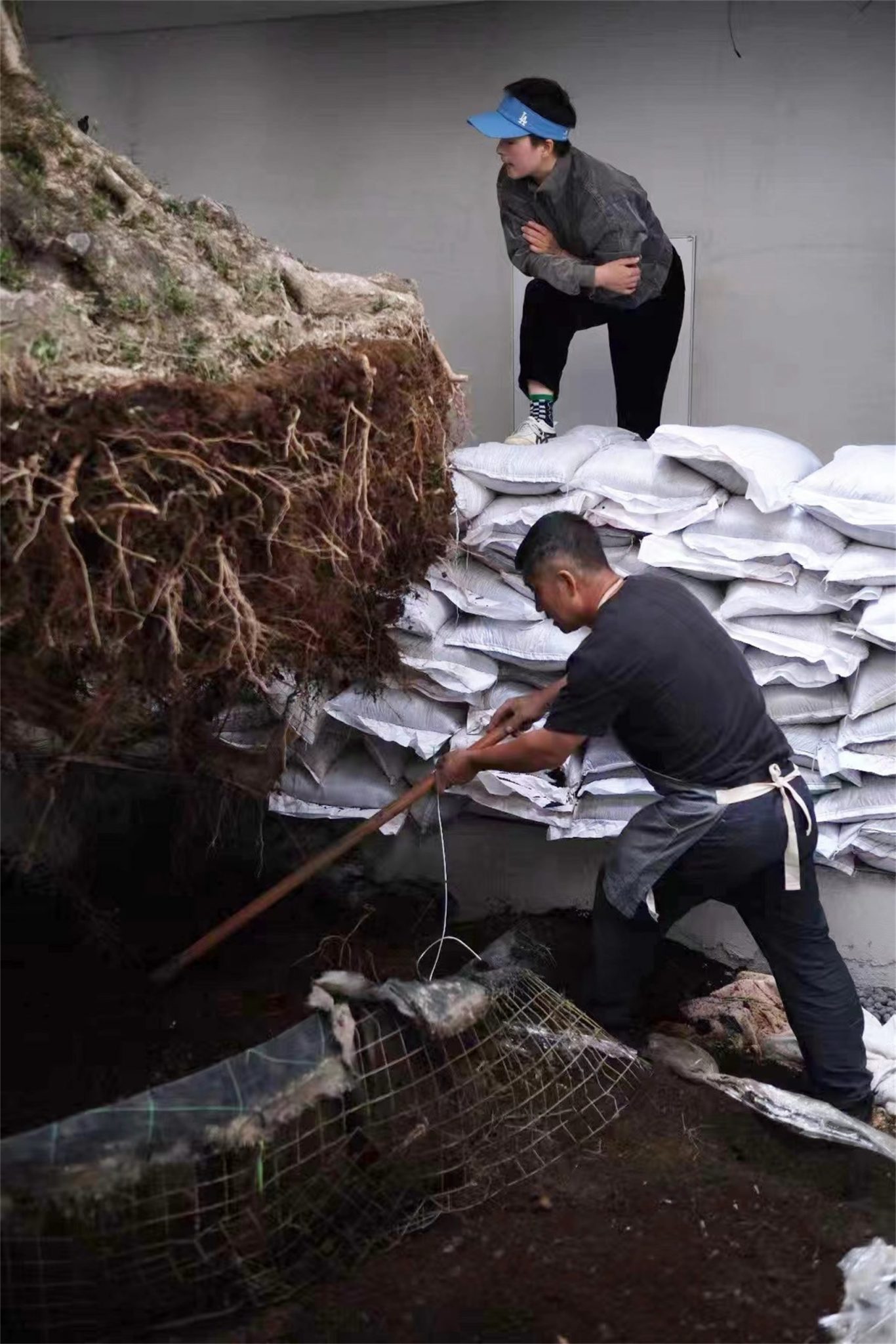 Tsubasa Jiaxing By GTD – mooool