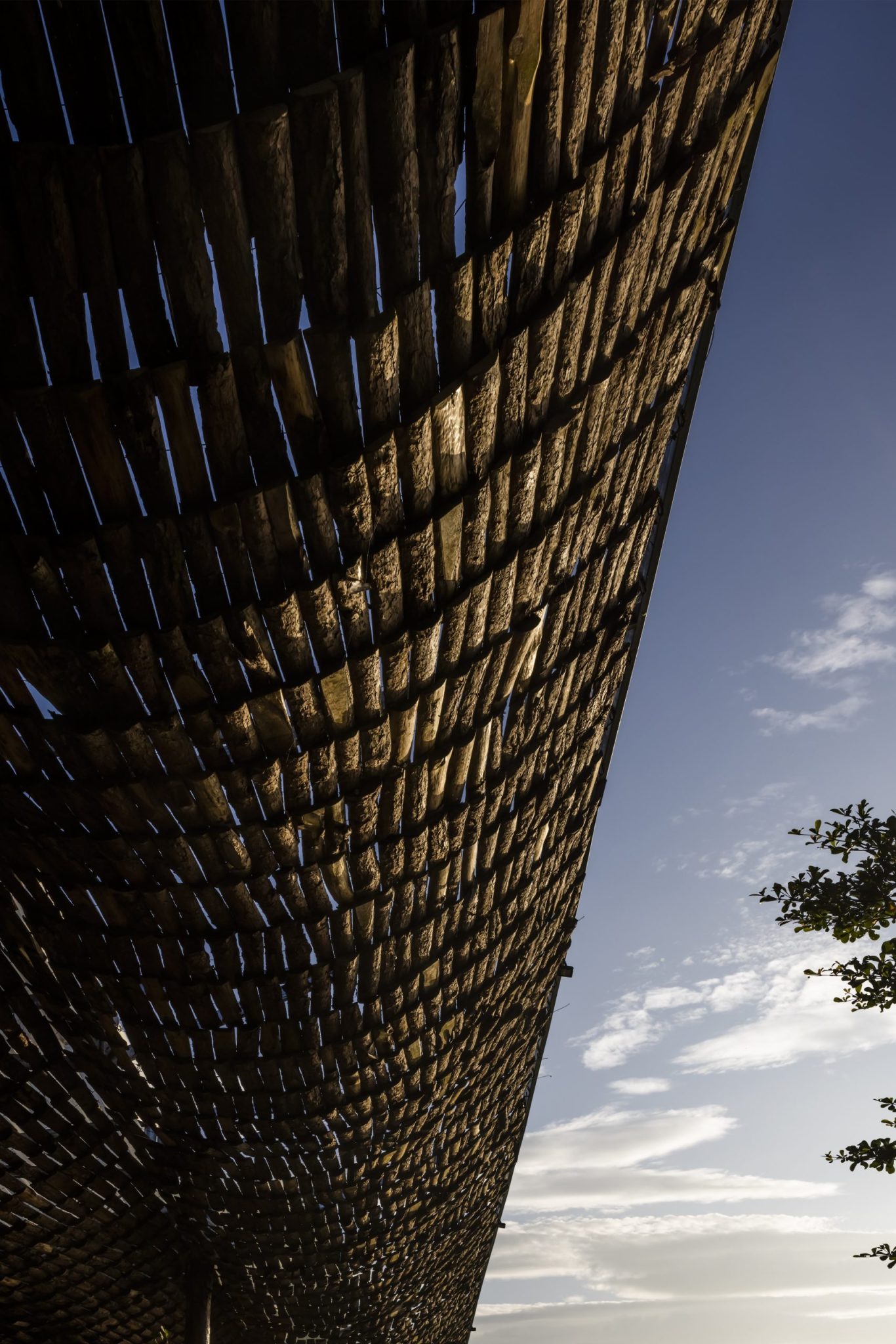 于自然中获取喘息之机，Nguyên咖啡馆 / The Bloom Architects – mooool木藕设计网