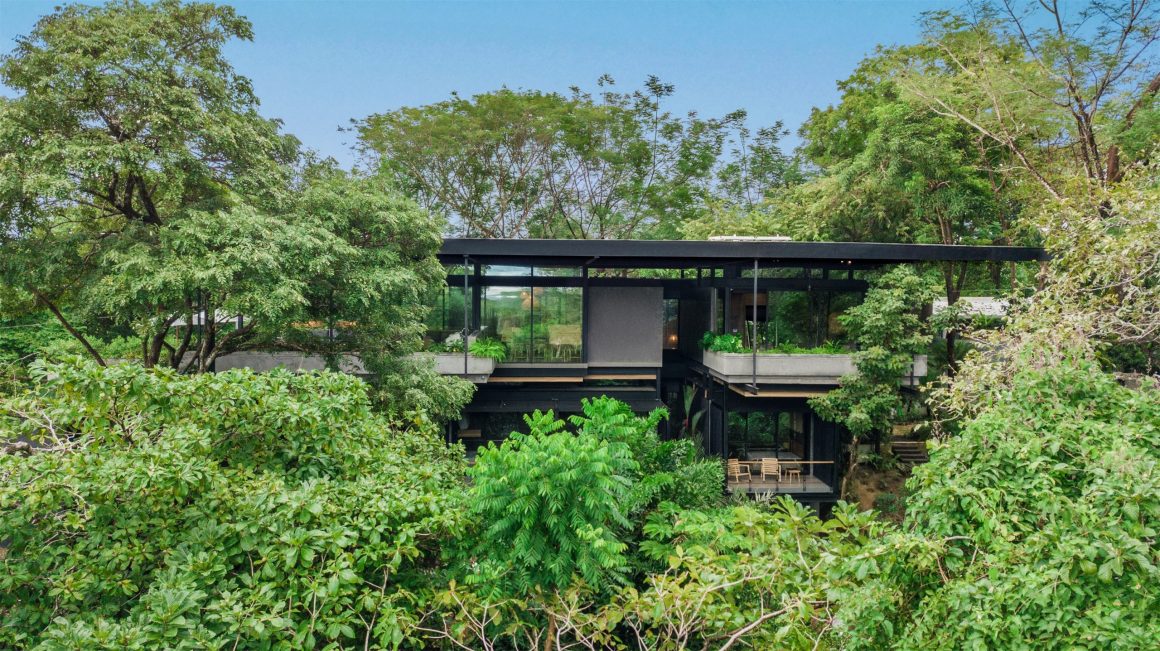 Raintree House by Studio Saxe – mooool