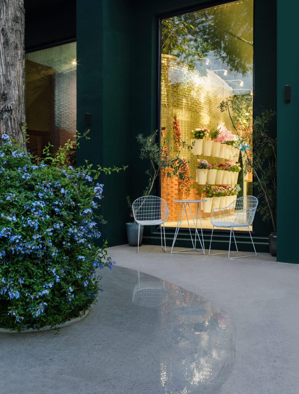 “A Garden “: Only Flower Floral Art Studio by Fangwei Architects – mooool