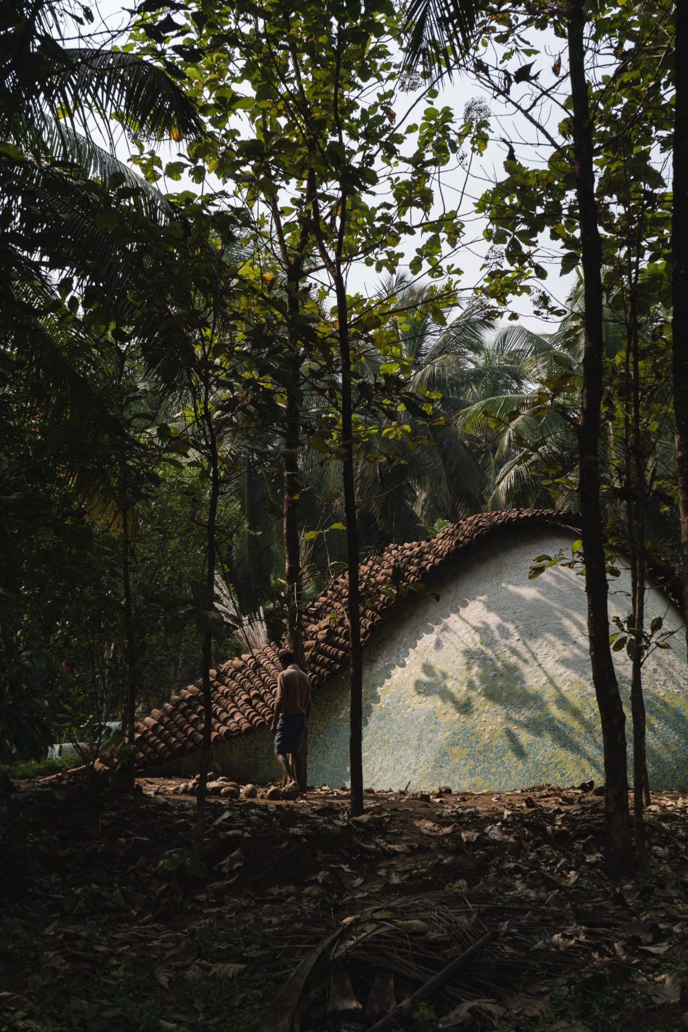 自由的拱顶，森林中的农舍 / Earthscape Studio – mooool木藕设计网