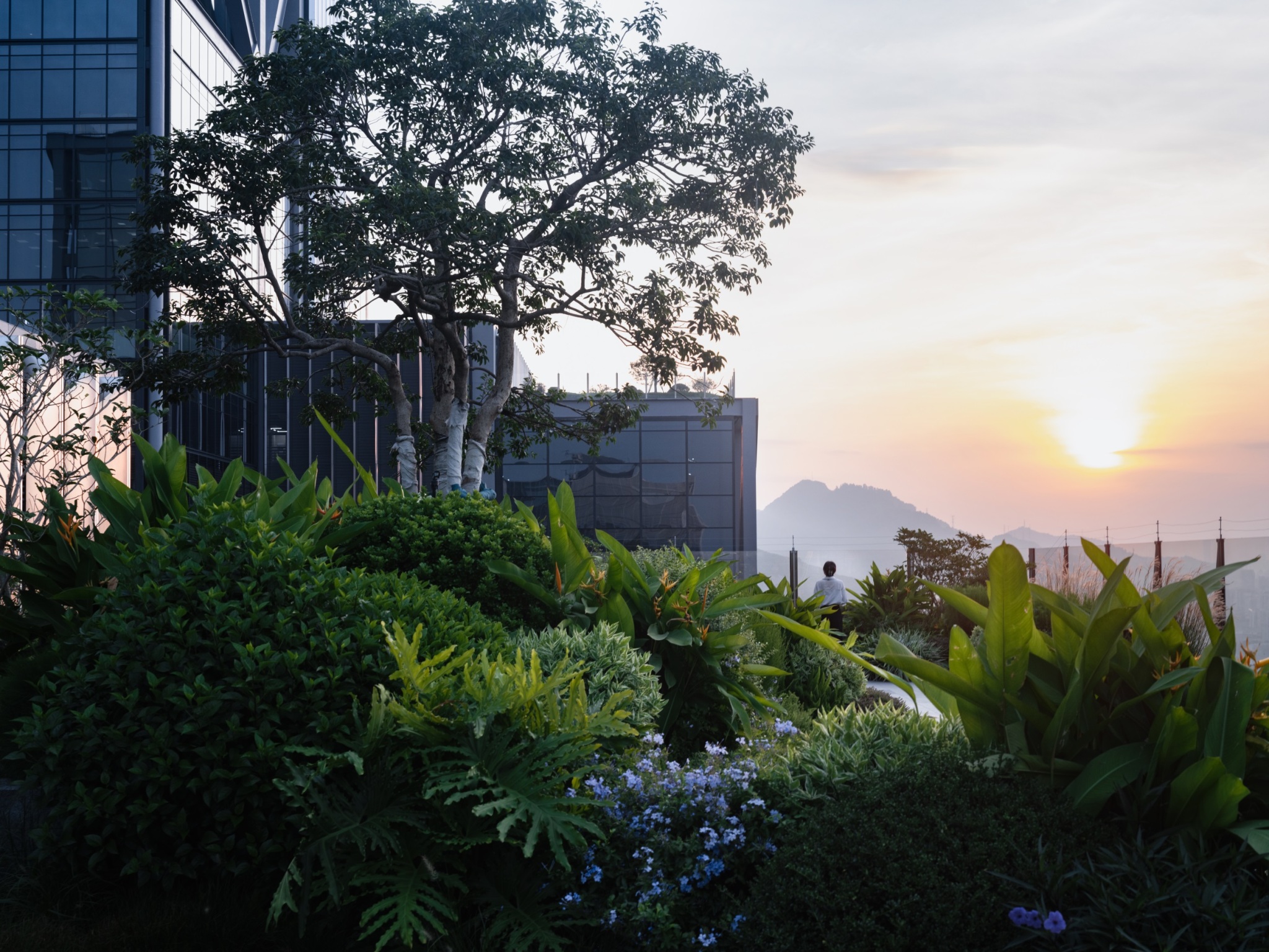 Dji headquarters in Shenzhen- Sky City by Holi Landscape Photography ...