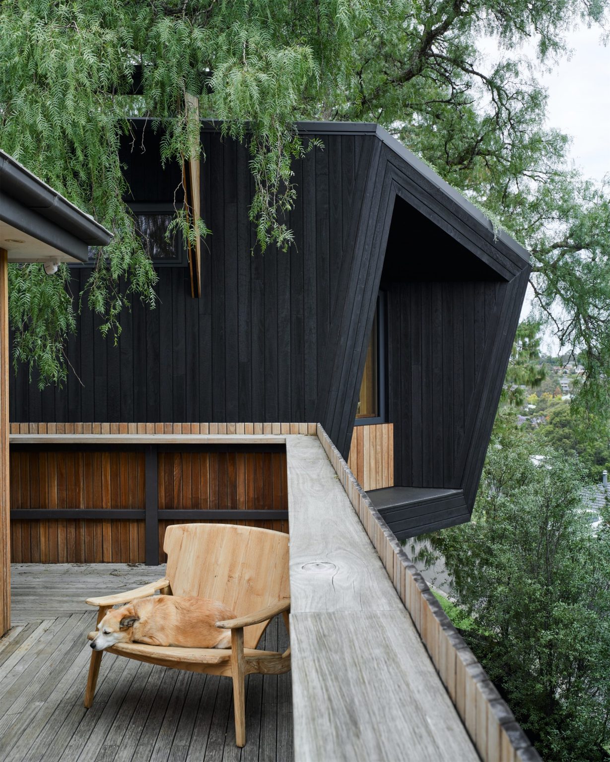 大树下的诗意生活，附加的被动式住宅 / Alexander Symes Architect – mooool木藕设计网