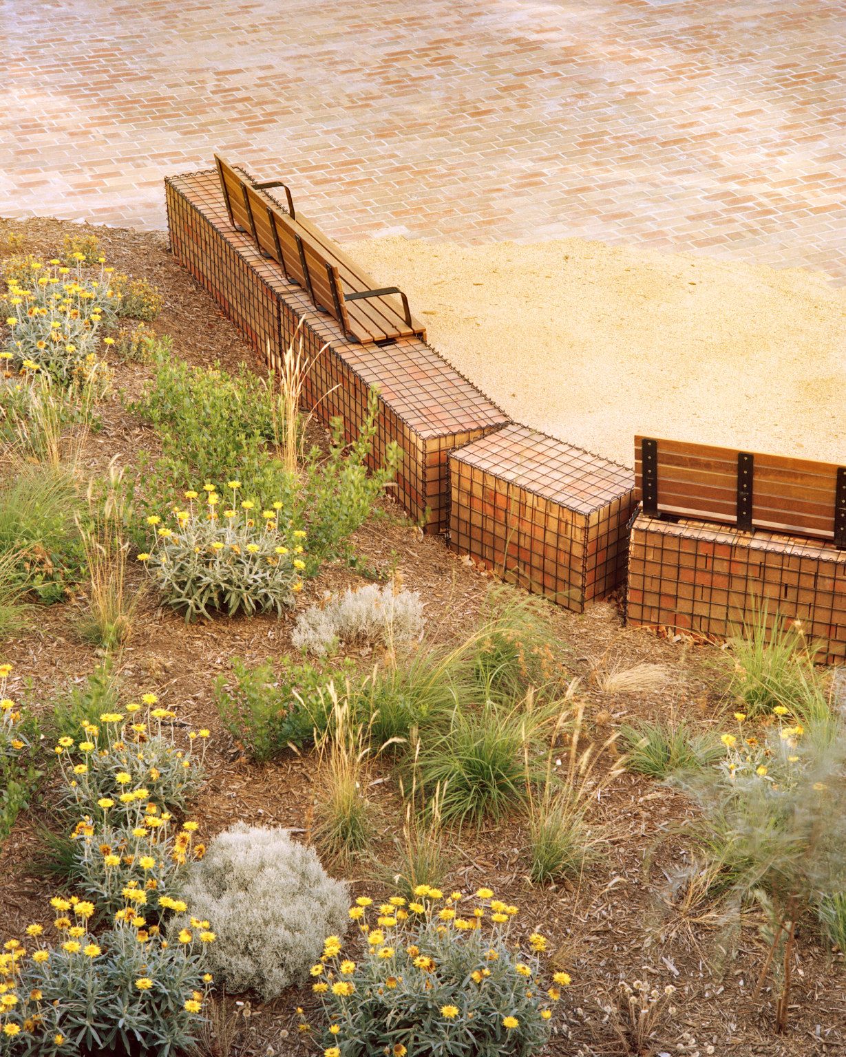 Bendigo Kagan TAFE Institute by SBLA Studio – mooool