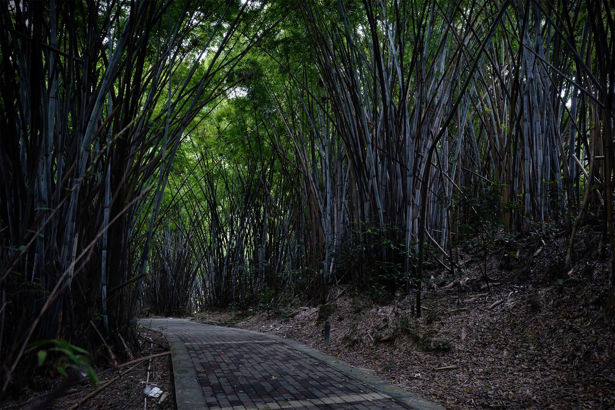 自然共生 – 后山当代艺术中心 / 微介创意设计 – mooool木藕设计网