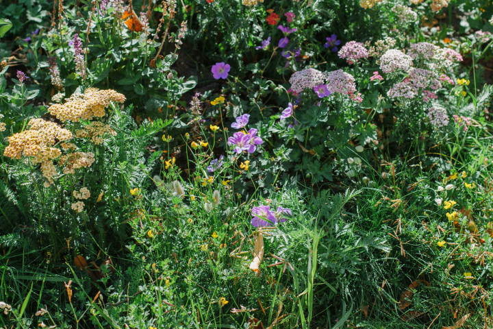 包容性公共空间，创造城市与自然步行友好的、健康的景观环境 – mooool木藕设计网