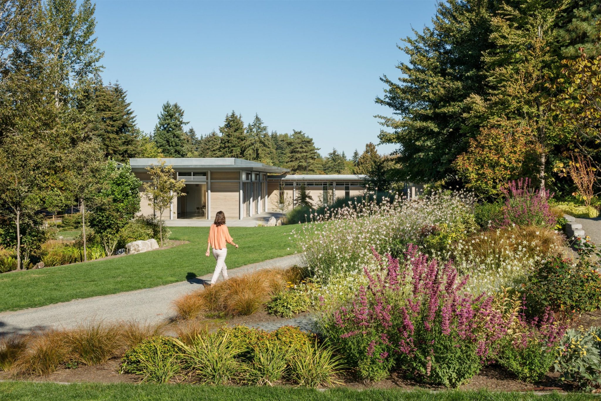 Bellevue Botanical Garden Visitor Center by Olson Kundig – mooool