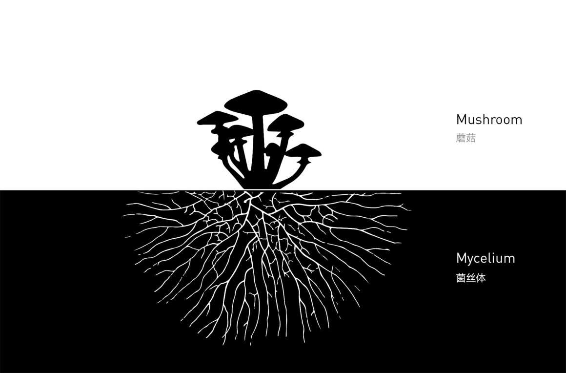 陆轶辰装置设计作品——反方向的构筑：蘑菇转金字塔 / Link-Arc建筑师事务所 – mooool木藕设计网