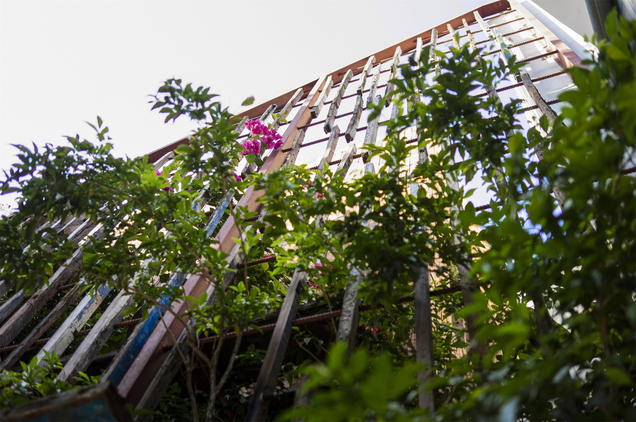 Maison TT by NGHIA ARCHITECT – mooool