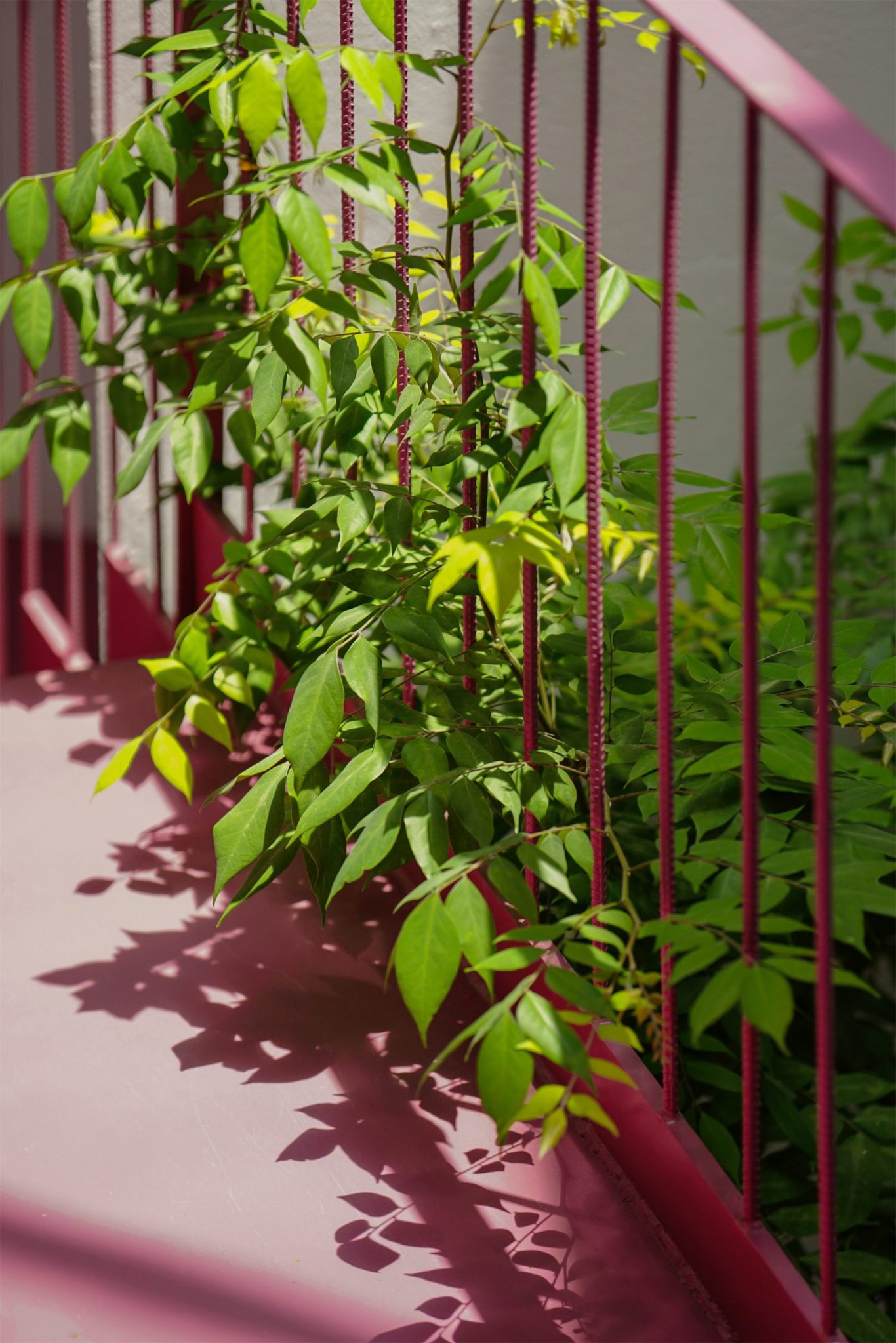 折叠的空间艺术，Maison TT 私人住宅 / NGHIA ARCHITECT – mooool木藕设计网