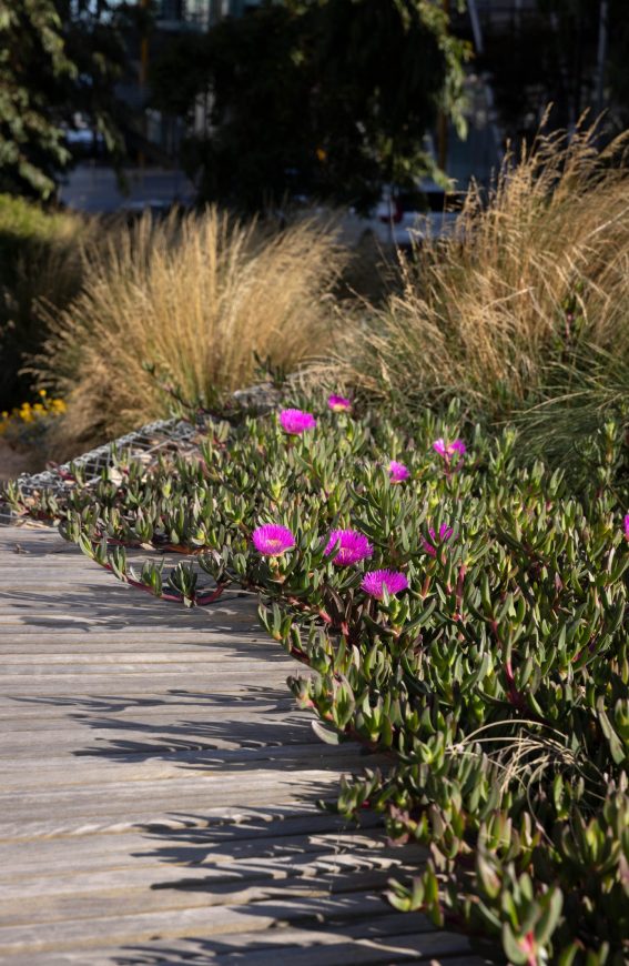 公园和开放空间 | 2022年AILA景观设计获奖作品 – mooool木藕设计网