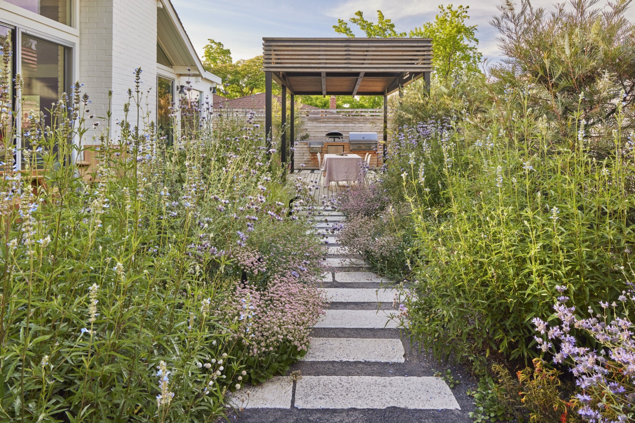 ALICE by TERREMOTO – mooool