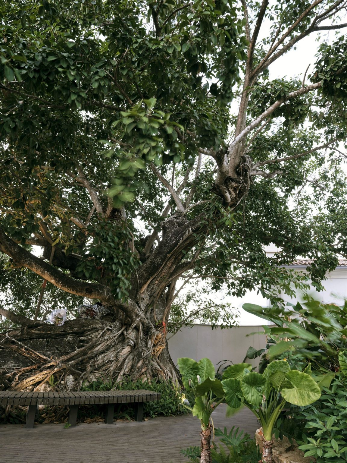 隐入山林 —— 阿那亚三亚南花园 / Z’scape 致舍景观 – mooool木藕设计网