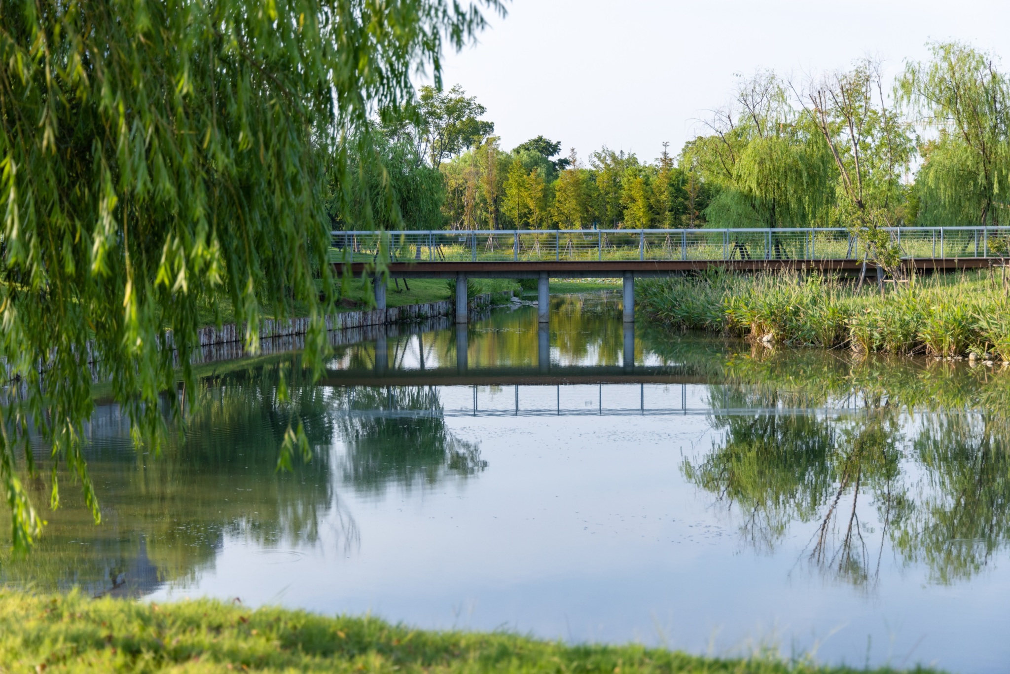 Green landscape design and architectural development scheme design of the North Office Park of ...