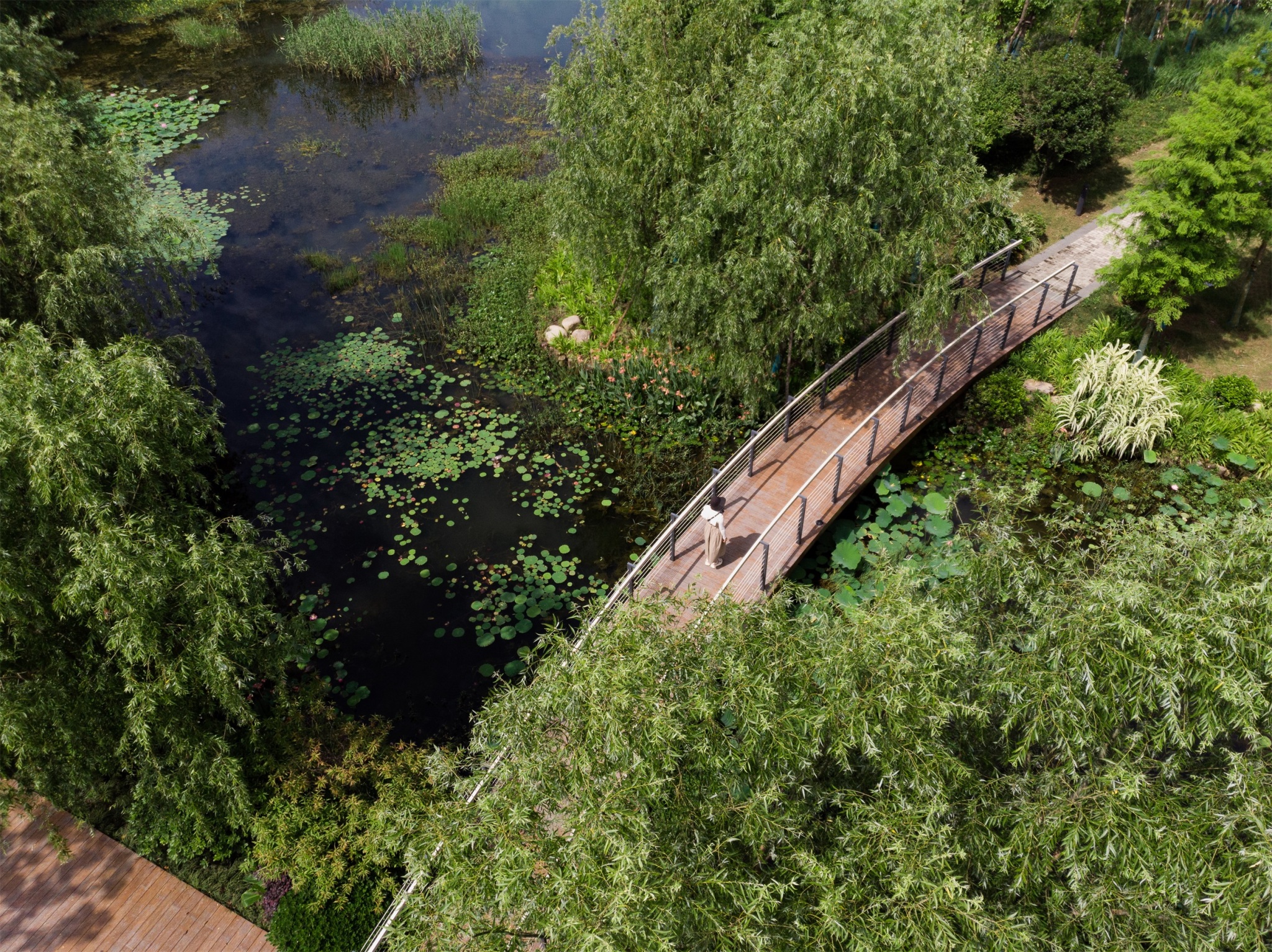 Green landscape design and architectural development scheme design of ...