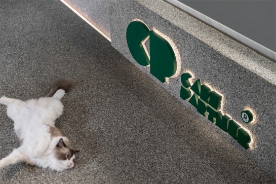 咖啡的N种友好界面—CAFE PARTNER / 一展设计 – mooool木藕设计网