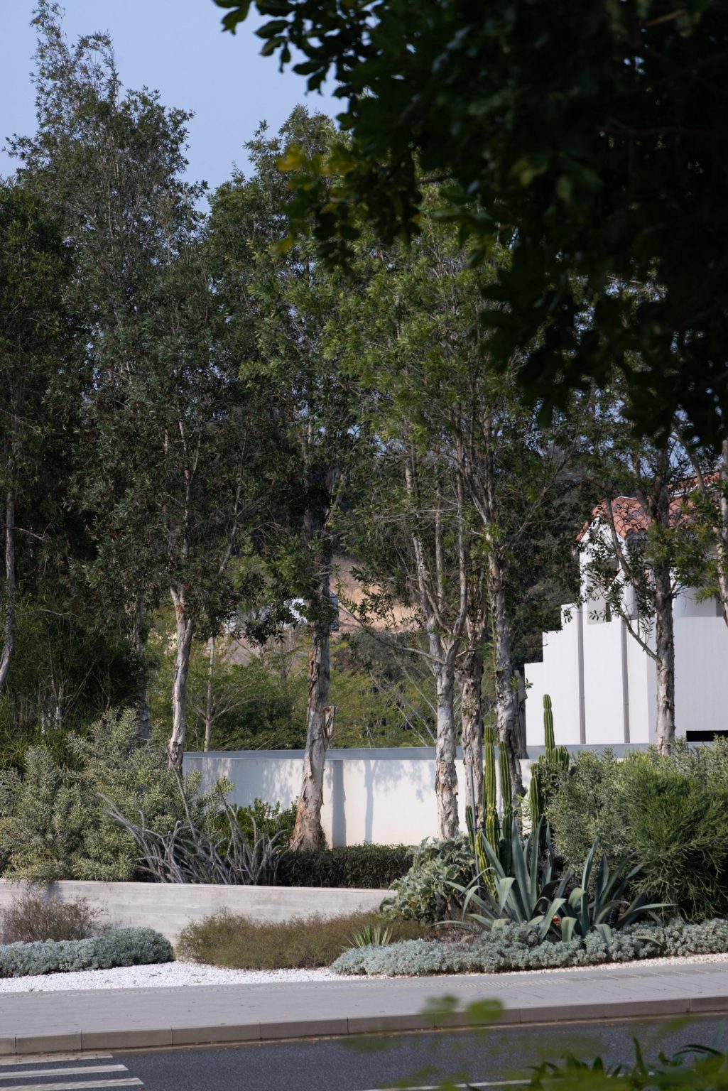 置身热带静谧山谷中 | 阿那亚·三亚 / WTD纬图设计 – mooool木藕设计网