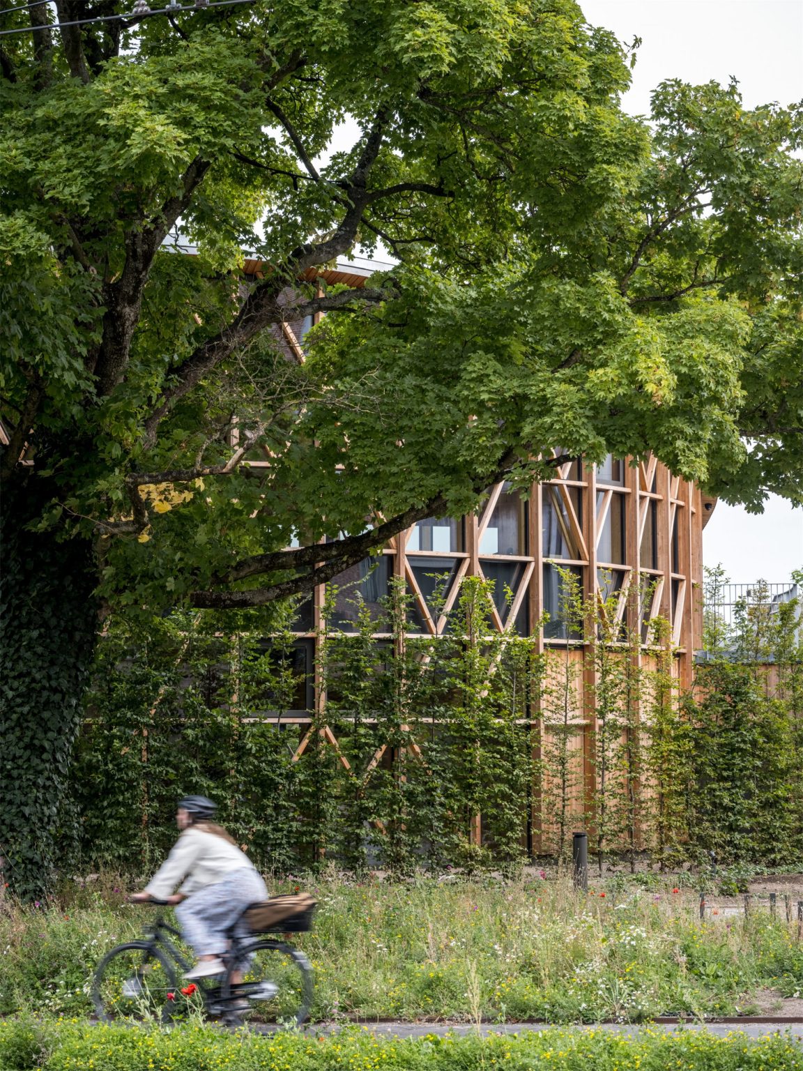 New Hans Christian Andersen Museum by Kengo Kuma and Associates – mooool