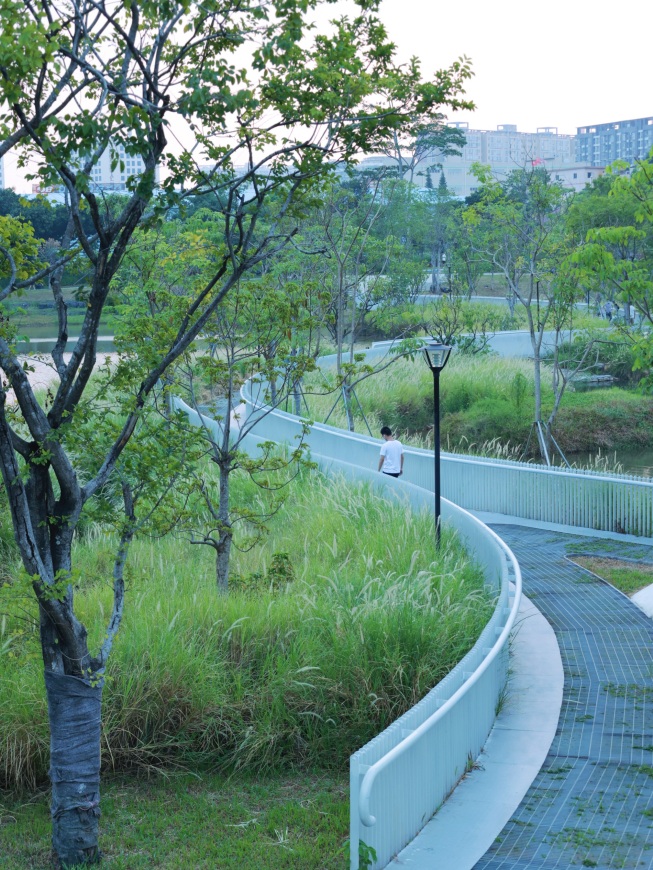 Baoan Dinggang Lake Wetland Park by HDEC – mooool