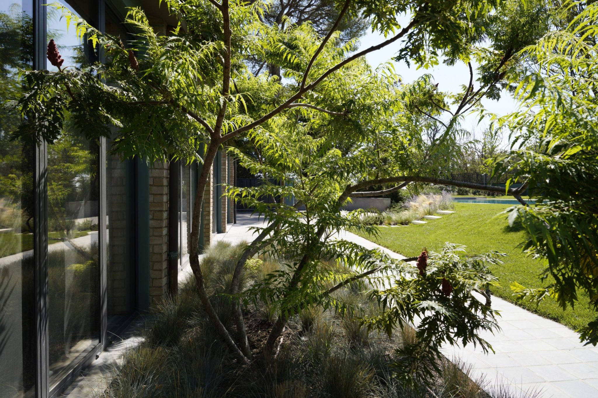Private garden on the hills by Pool landscape – mooool